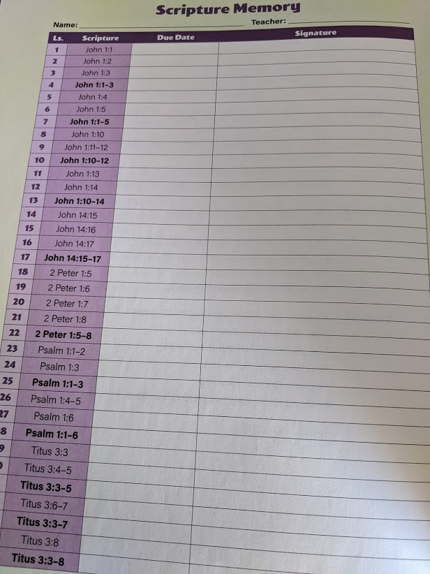 Positive Action Bible Curriculum Building Life Castles {Review} | My ...